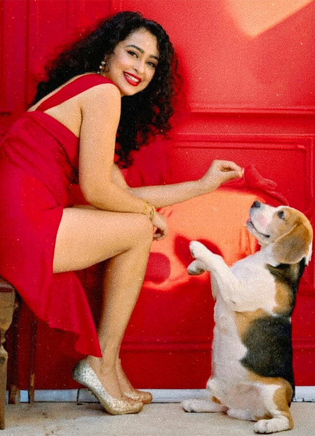 న్యూ ఇయర్‌ ఔట్‌ఫిట్‌లో గ్లామర్‌ బ్యూటీ 'అప్సర రాణి' (ఫోటోలు) | Actress Apsara Rani Beautiful And ...